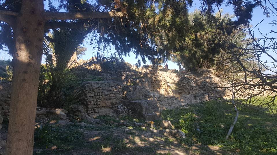 Site et musée Utique, Musée à Bizerte | Kharjet.tn
