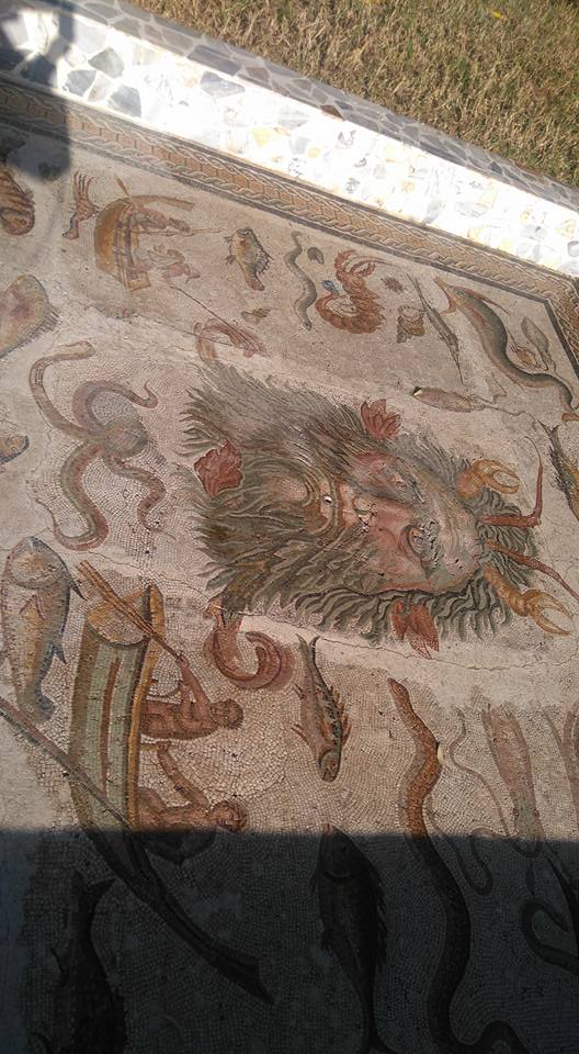 Site et musée Utique, Musée à Bizerte | Kharjet.tn