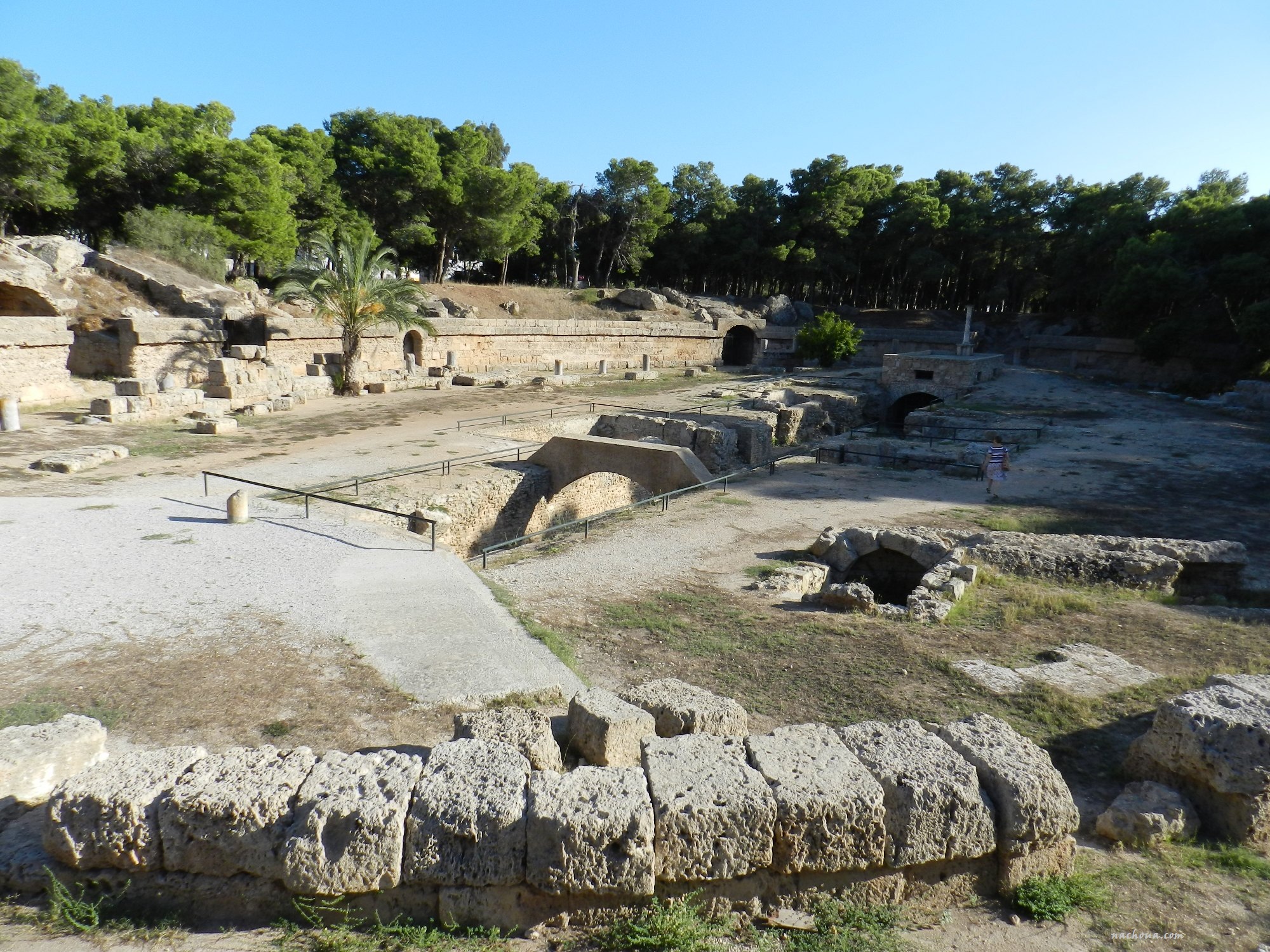Amphithéatre romain carthage, Musée à Carthage | Kharjet.tn