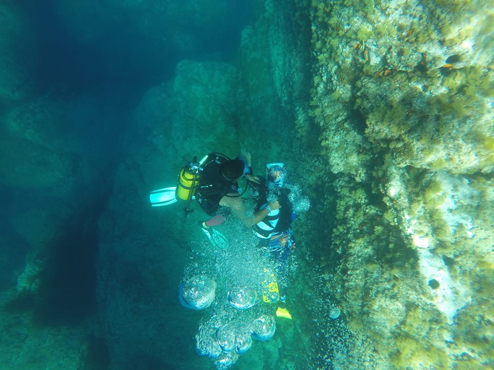 Plongée Sous Marine El Hawaria | Baignades | Kharjet.tn