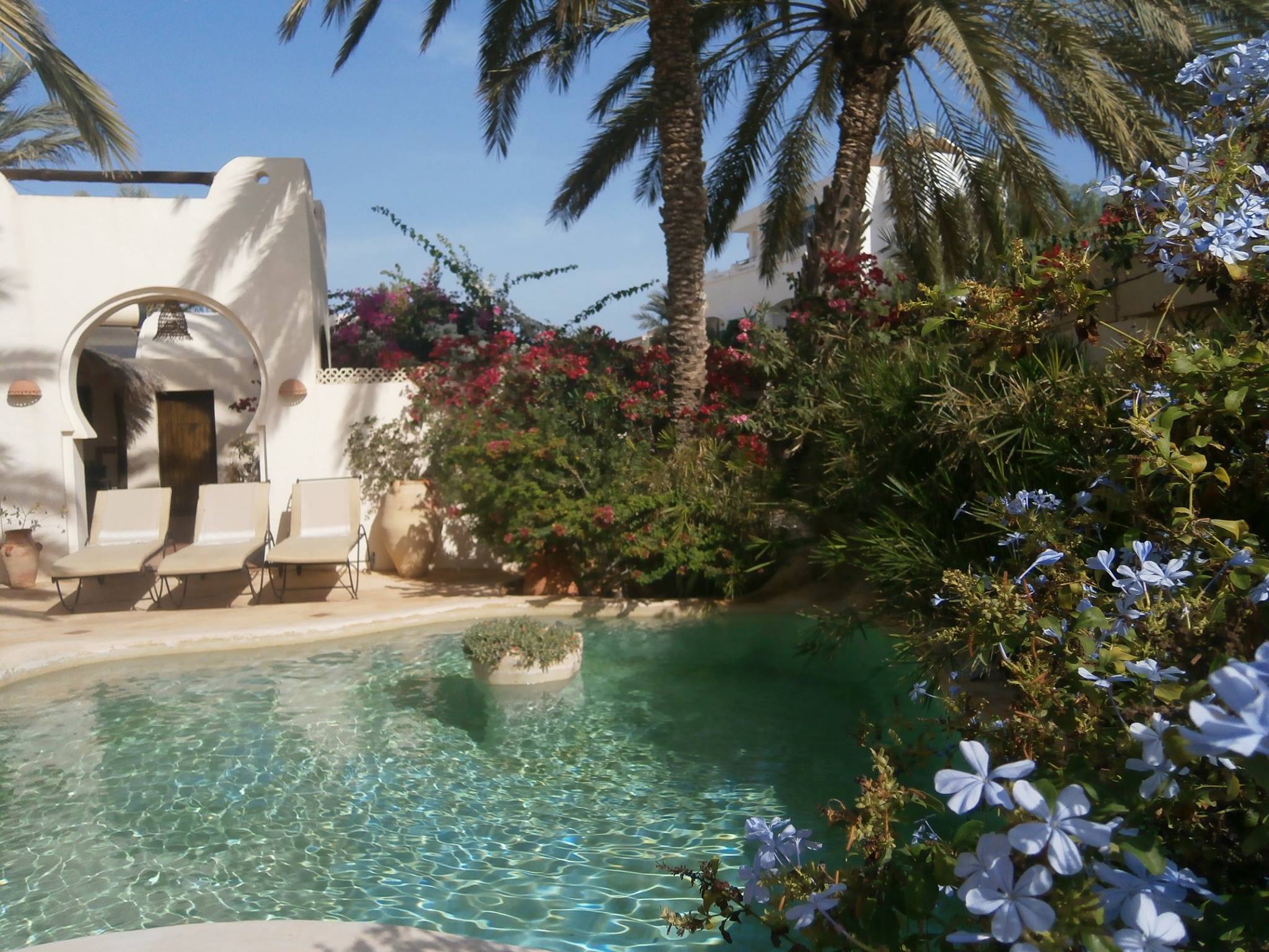 Dar Saada Maison d'hote à Djerba : Prix et Avis | Kharjet.tn