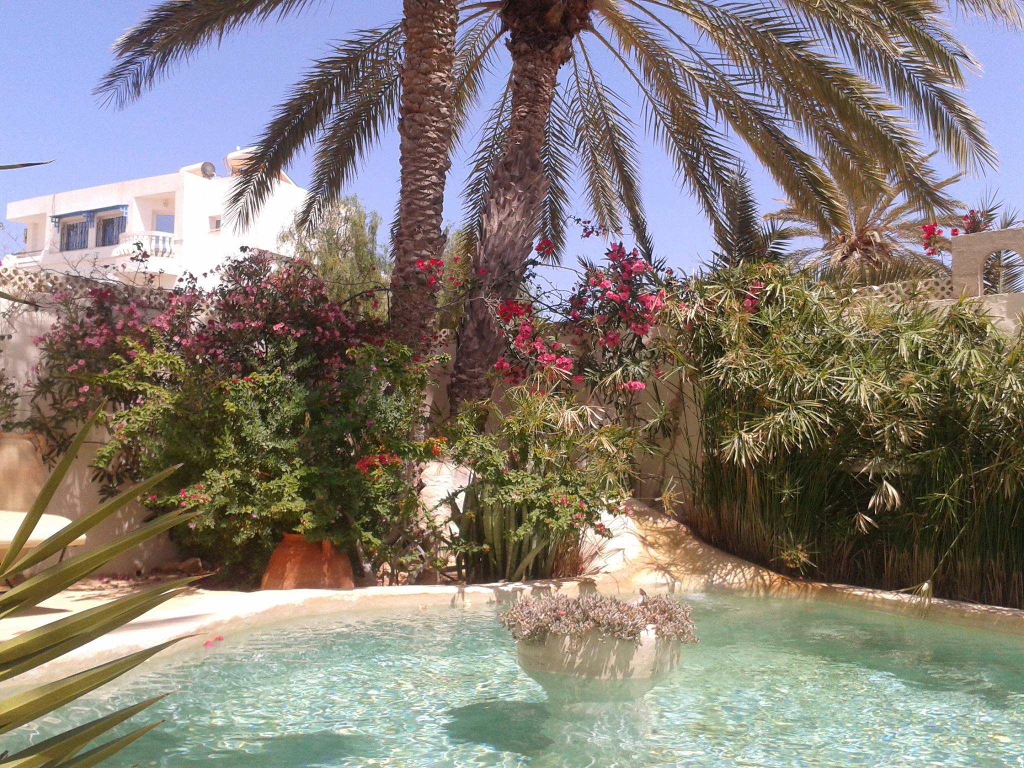 Dar Saada Maison d'hote à Djerba : Prix et Avis | Kharjet.tn